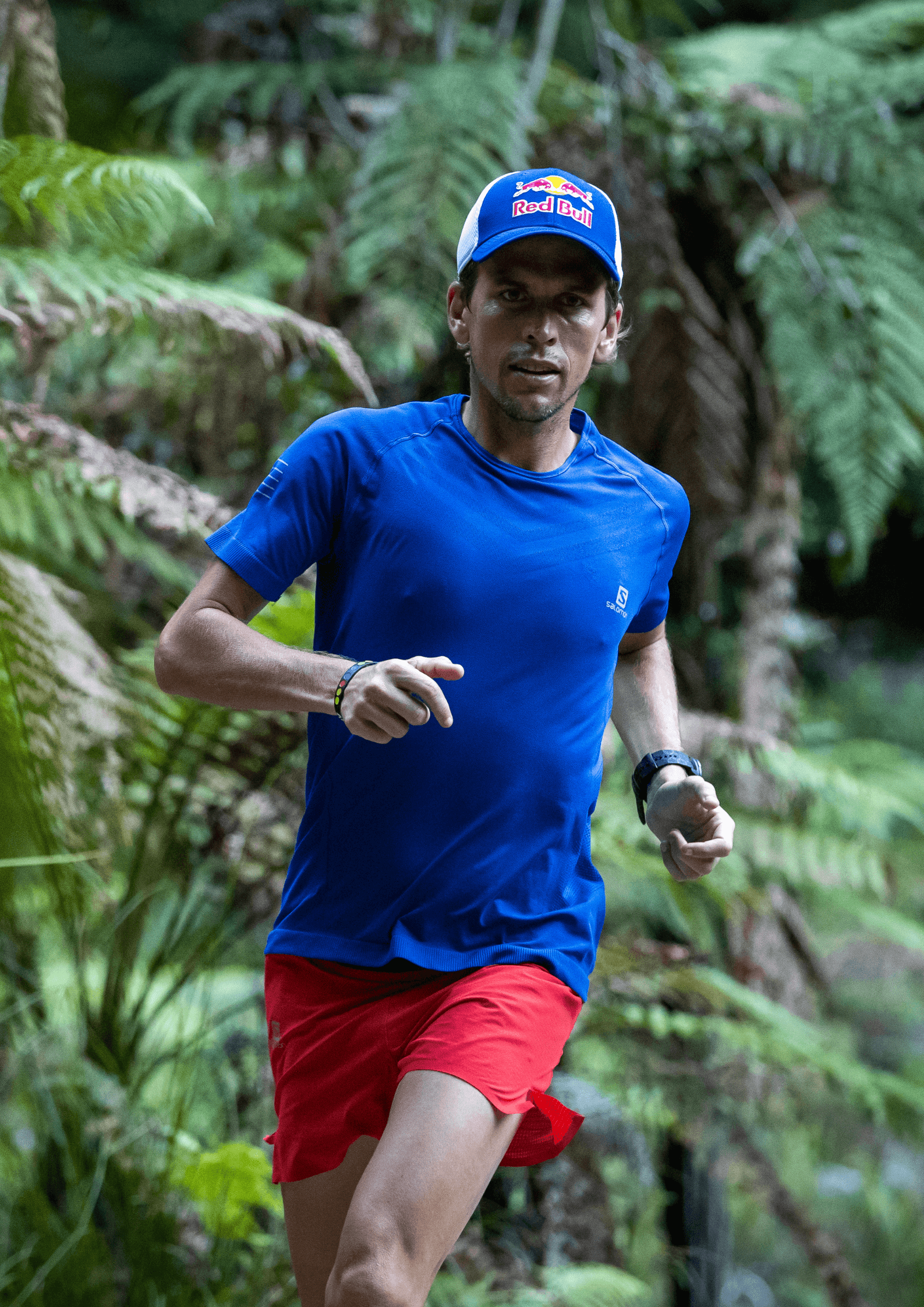 100 MILES: RUN 100 MILES LIKE RYAN SANDES - Vert: Trail & Ultra Marathon