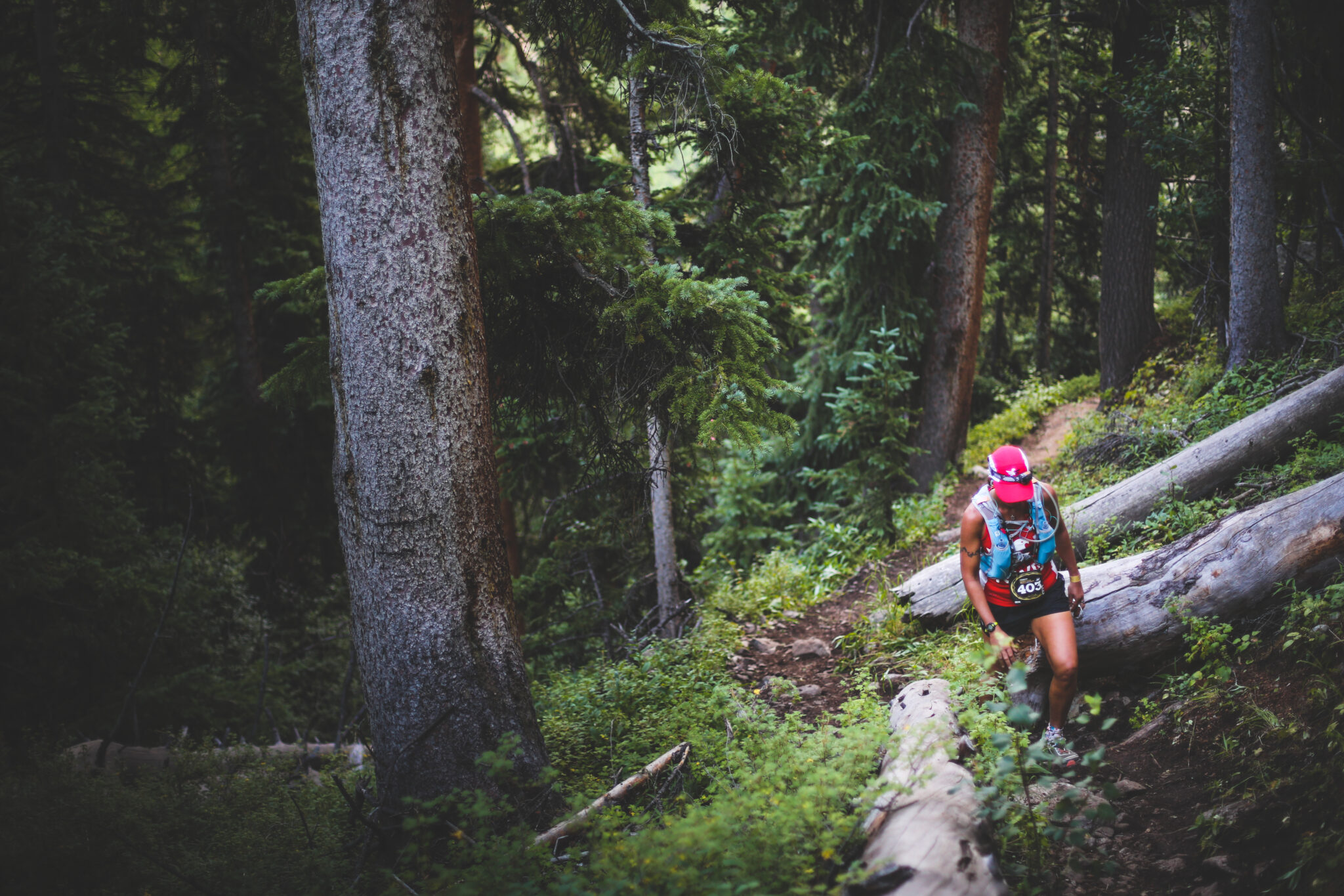 The Guzzler Ultra Trail: The Ultimate Guide - Vert: Trail and Ultra ...