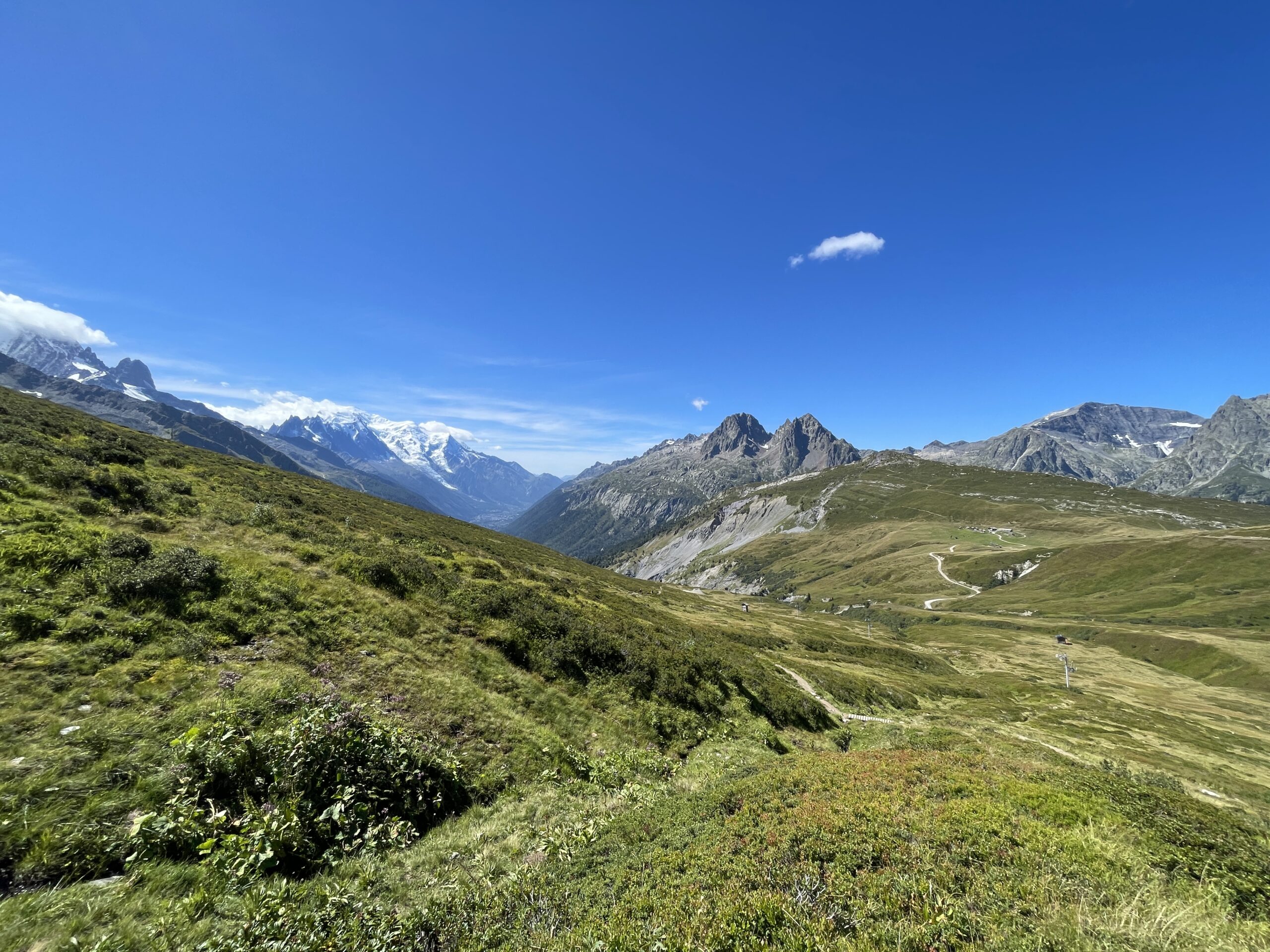 Coach Corner: Reflections from the Year | Vert Journal